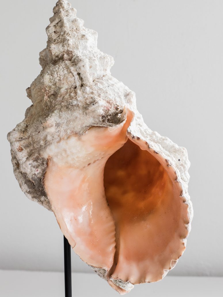 SCHELP OP VOET – Design Brendan Bakker